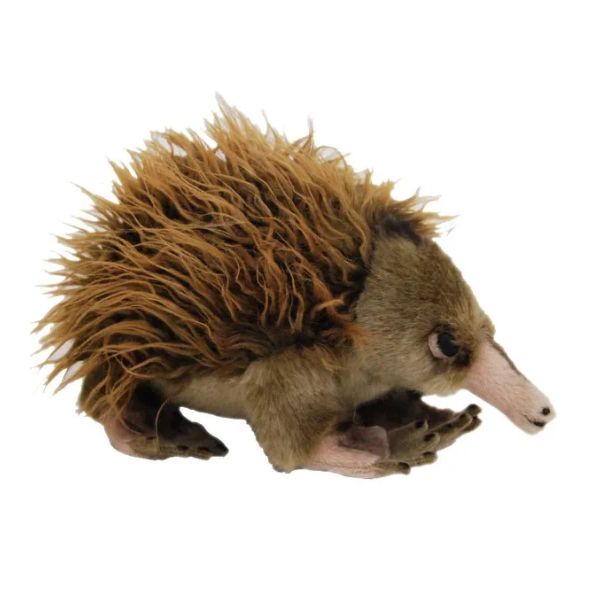 Australian Animals Echidna Teddy - Soft Toy | The Party Cupboard