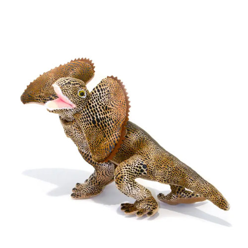 Philly Australian Animals Frilled Neck Lizard Teddy - Soft Toy | The ...